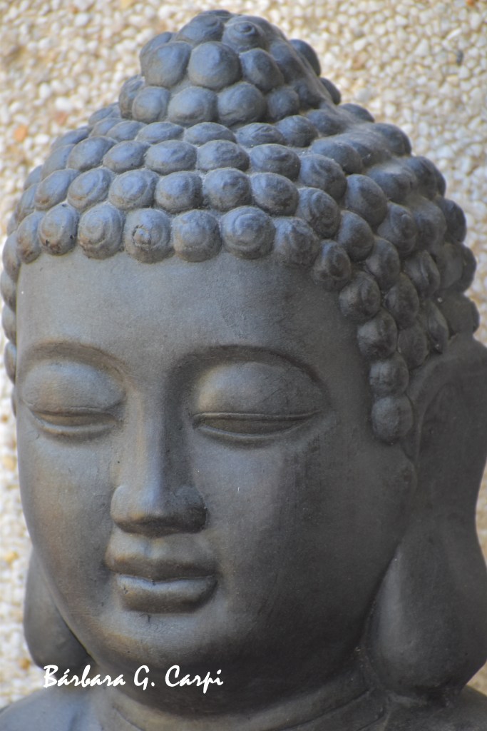 La Estirga Burlona | El blog de Bárbara García Carpi